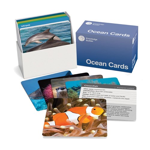 ZKBKBMB06C - Ocean Cards - 100 x 100mm Laminated Set - Kookaburra ...