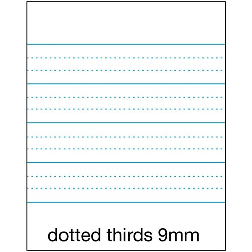 ZNPNB5100 - Protext Exercise Book PP A4 9mm Dotted Thirds Beetle 48 pg ...