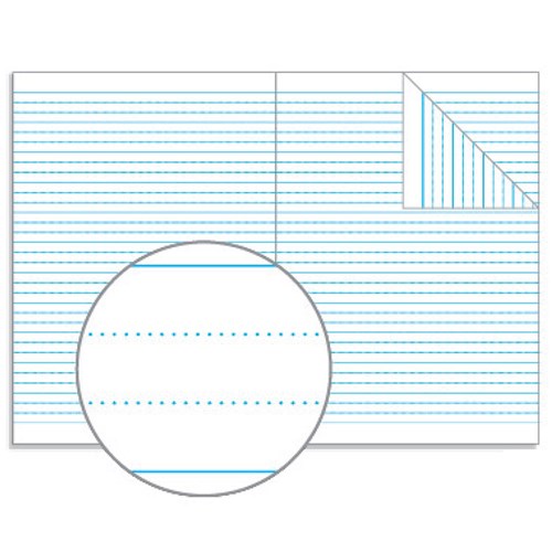 ZSP140847 - Writing Book Turtles 335x240mm 24mm Dotted Thirds 64 pg ...