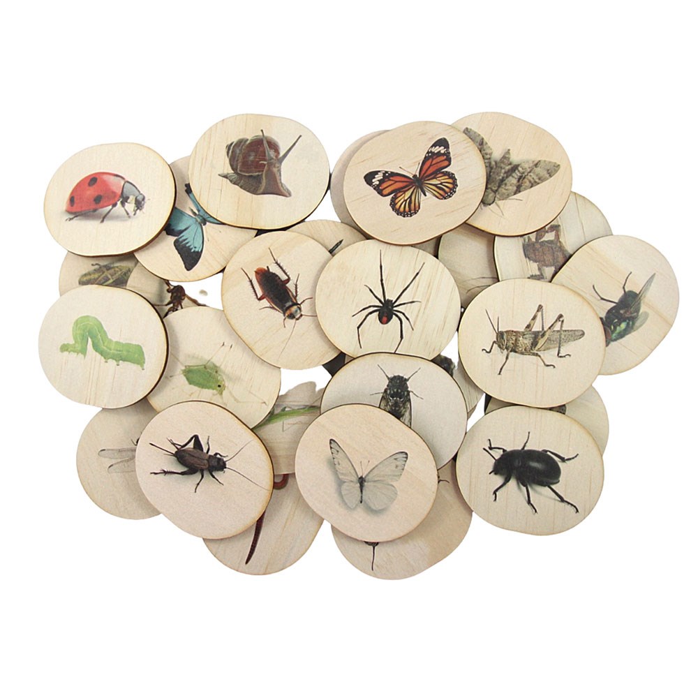 ZLB9809430985 - 5 Little Bears Bug Discs Set of 28 - Kookaburra ...